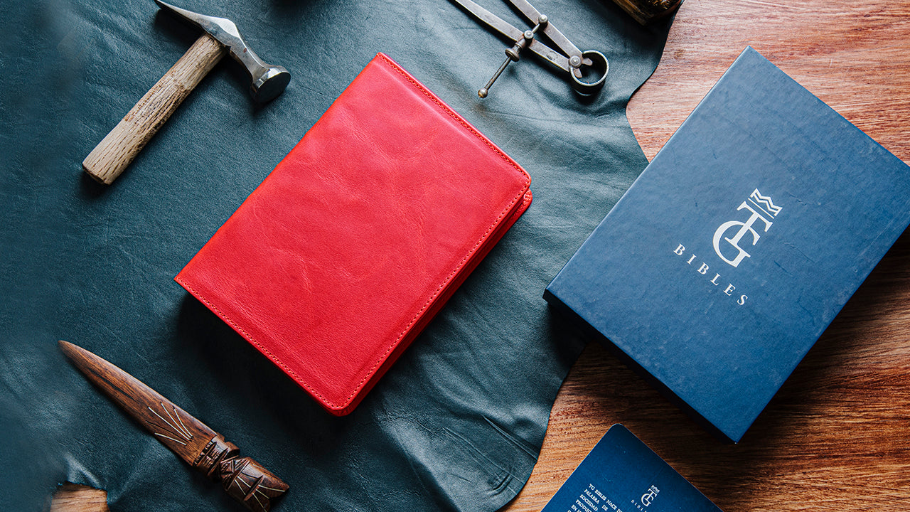 Biblia ilustrada de la Tierra Santa Ester – TG Bibles Mx